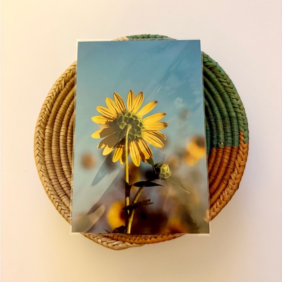 Art | 4x6 Sunflower Print With Blue Sky Background | Poshmark